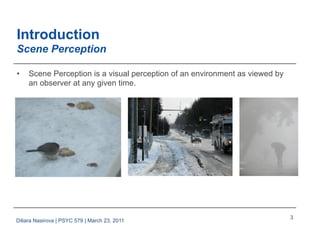 Scene perception | PDF