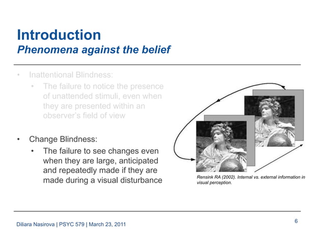 Scene perception | PDF