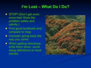 Scene Safety For 1st Responders | PPT