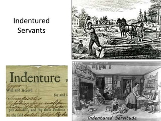 Scenes from night journeys | PPTX