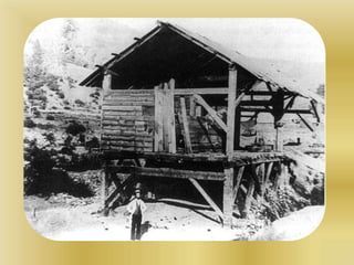 Scenes from the gold rush | PPSX
