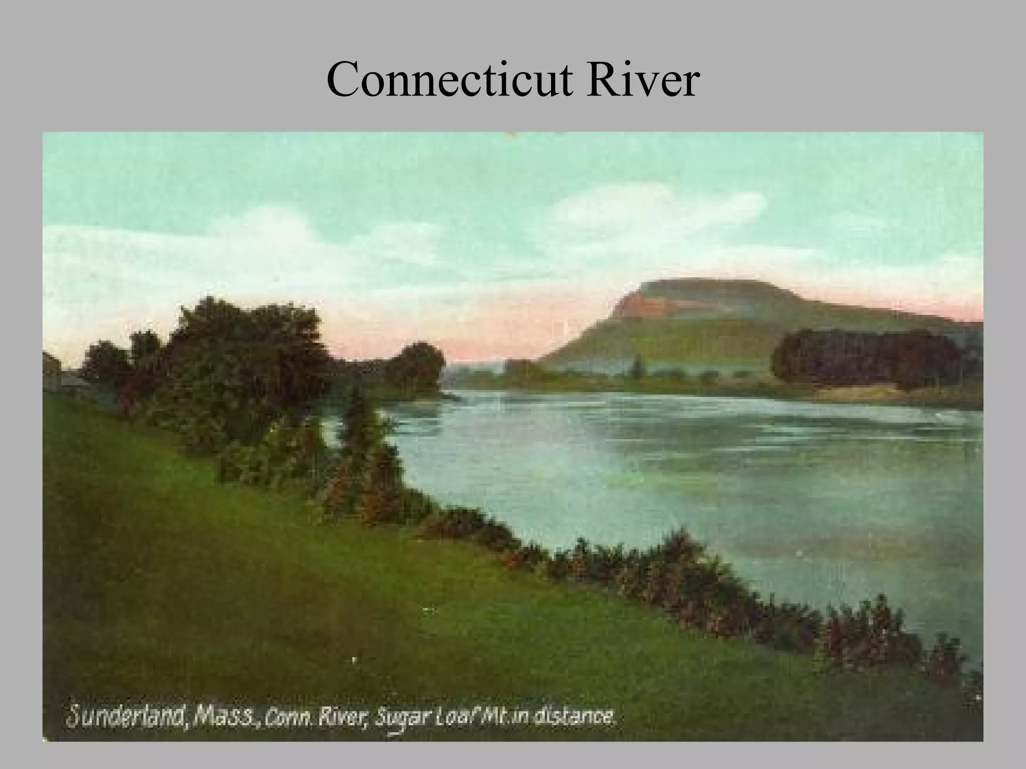 Scenes from the witch of blackbird pond | PPT