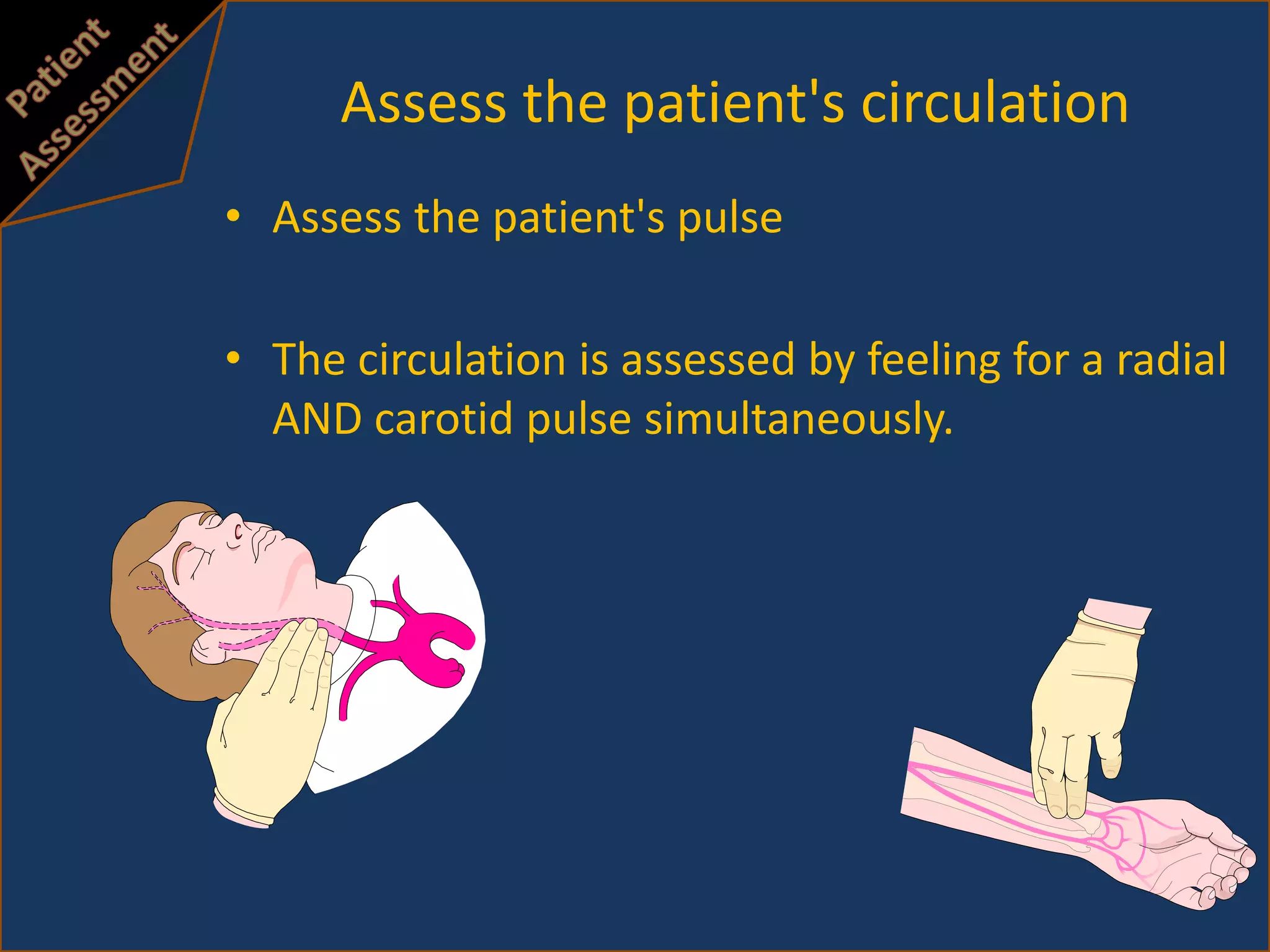 Scene size up and initial assessment | PPTX