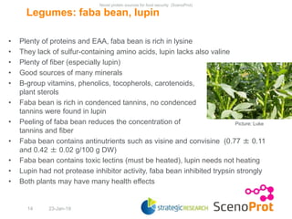 Legumes, oil crops and pseudocereals are good sources of nutrients and ...