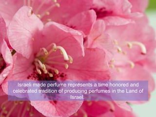 Scents of Israel | PPTX