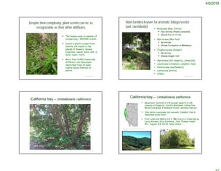 Scent gardens 2018-notes | PPT