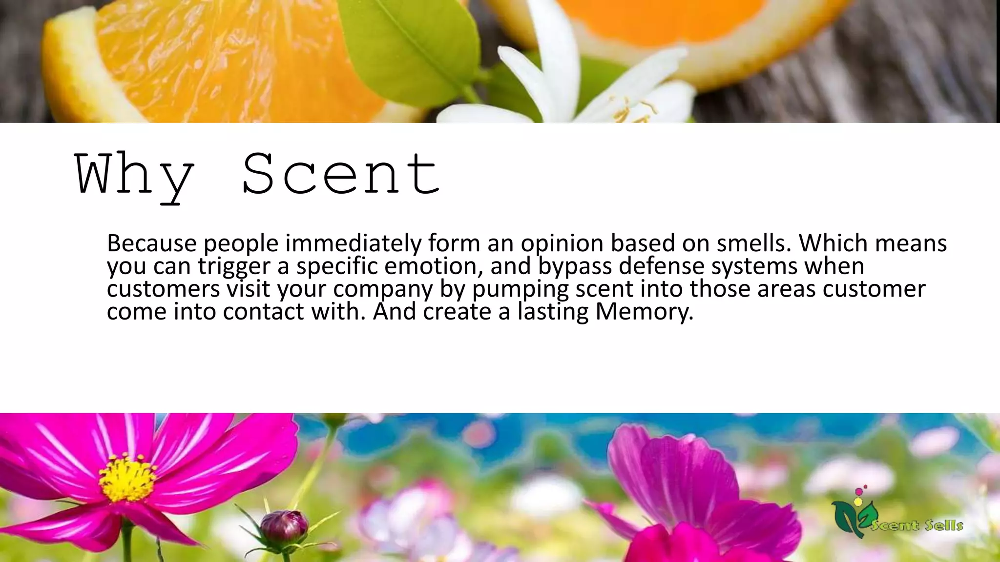 Scent Marketing by Scent Sells | PPTX