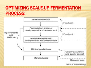 Scale up of fermentation | PPTX