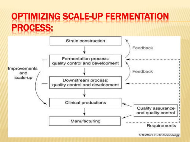 Scale up of fermentation | PPTX