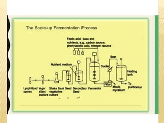Scale up of fermentation | PPT