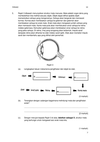 Scf2 ub 1, 2016 | PDF
