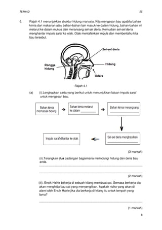 Scf2 ub 1, 2016 | PDF