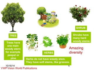 Sc files 2 chapter1 copy | PPT