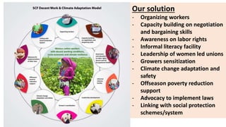 SCF Presentation updated.pptx