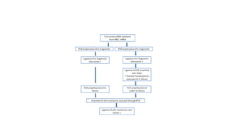 Scfv phage library | PDF