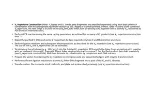 Scfv phage library | PDF