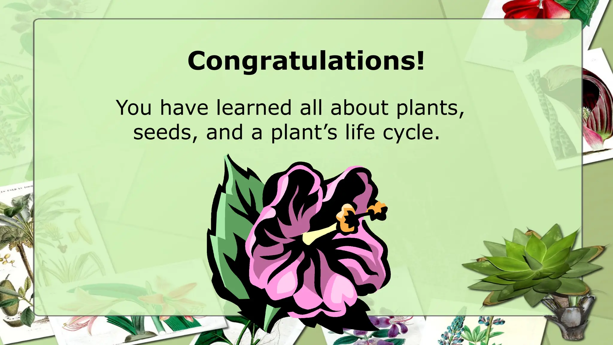 Sc g 1 needs of plant + germination.pptx