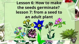 Sc g 1 needs of plant + germination.pptx