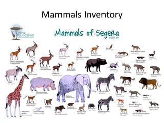 SCGIS_presentation_2011 | PPT