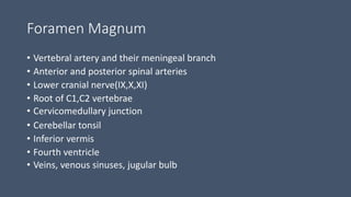Sch 43 surgical management of tumors of the foramen magnum | PPTX