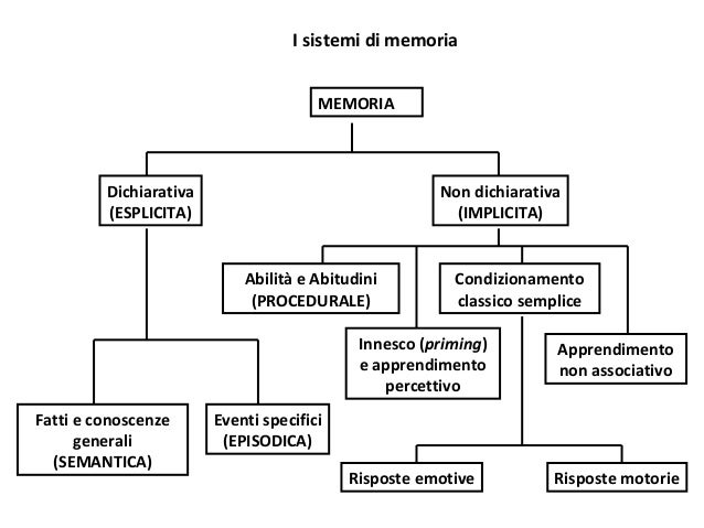 Schacter memoria
