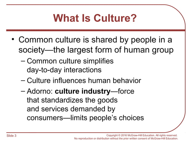 Schaefermods3 ppt ch03 | PPT