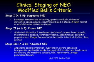 Schanler nec feb 2010 handout | PPT