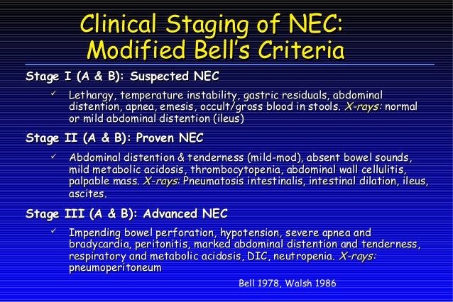Schanler nec feb 2010 handout