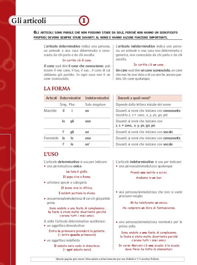 Scheda1 gli articoli