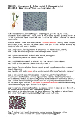 Schede d osservazione microscopica 1 | DOC