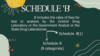 Schedule B.pptx