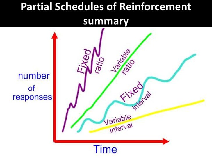 Schedules Of Reinforcement Vce U4 Psych Aos 1