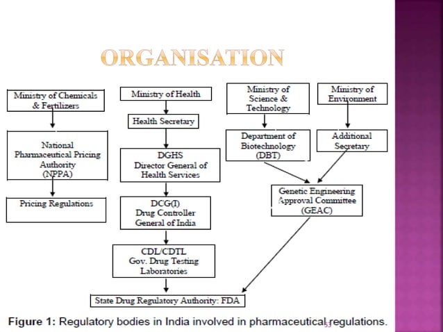 Schedule y | PPTX | Pharmaceutical Industry | Industries