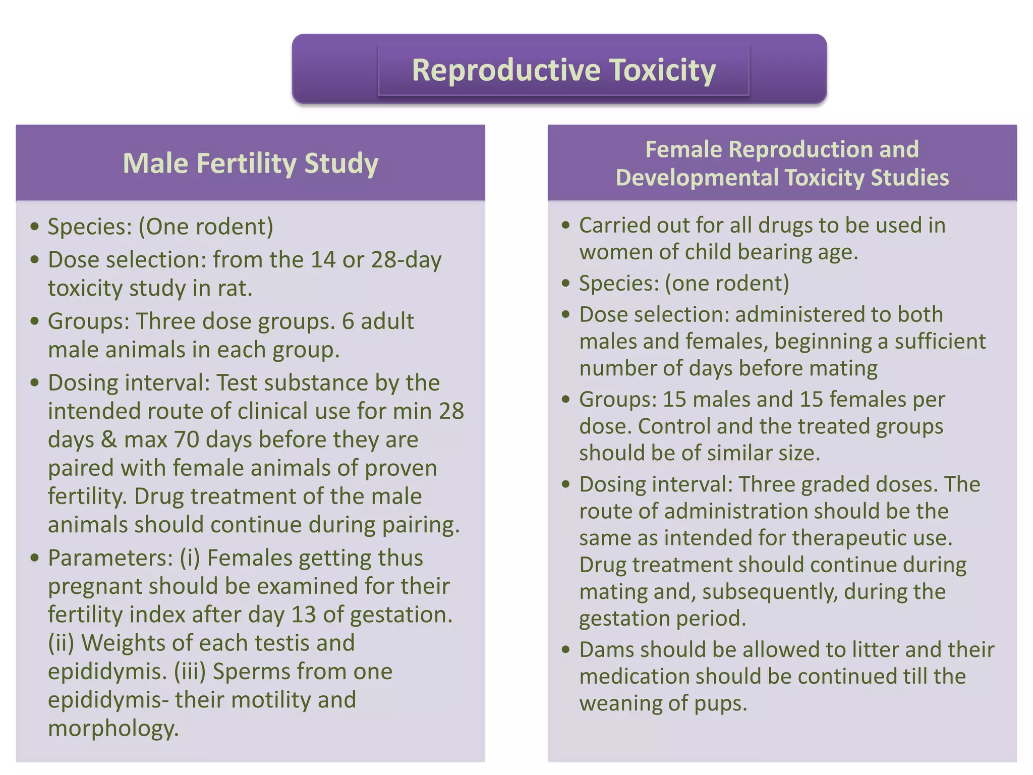 Schedule y for toxicity studies | PPTX