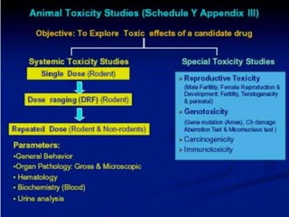 Schedule y for toxicity studies | PPTX