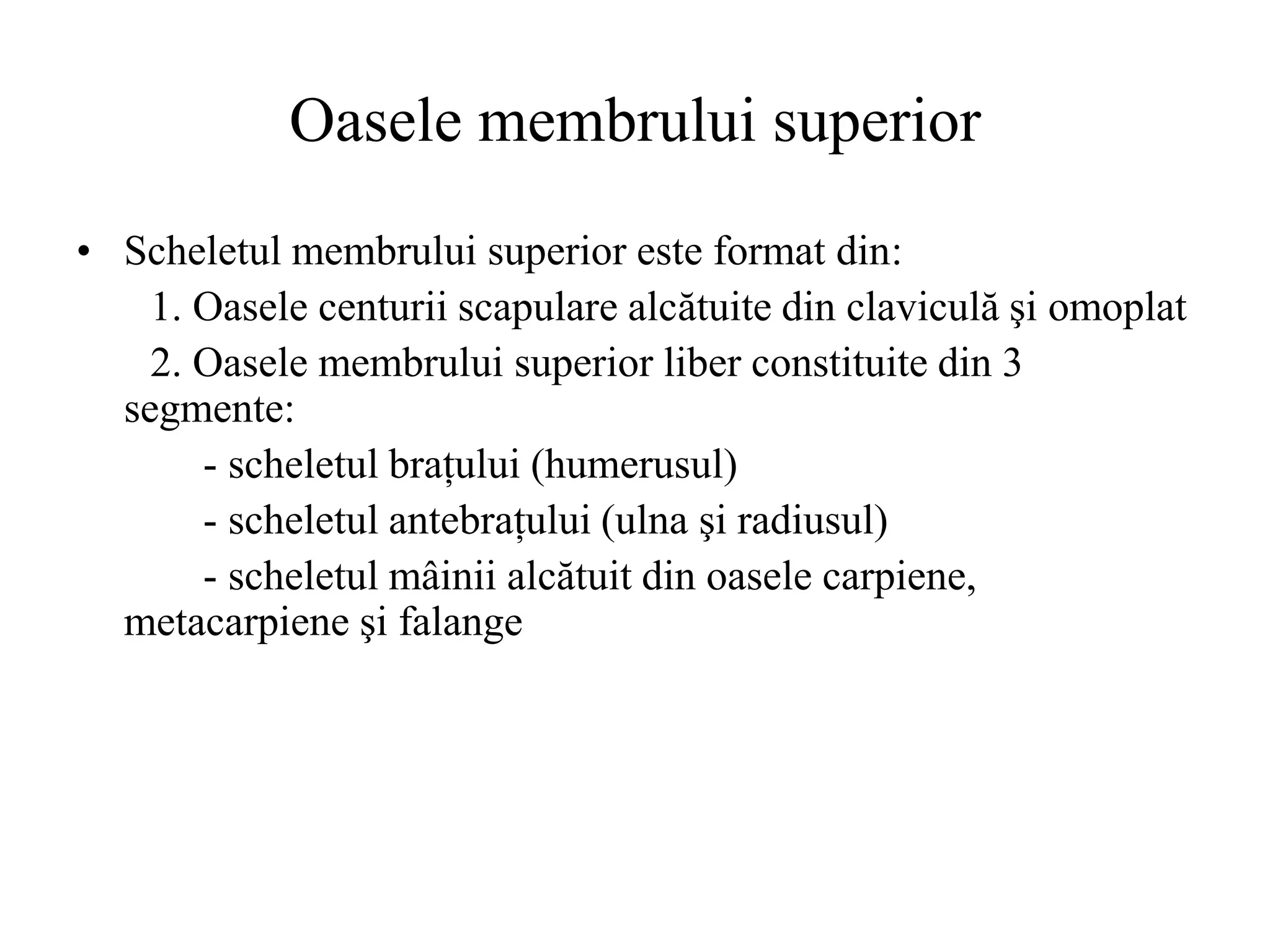 Scheletul osos | PDF