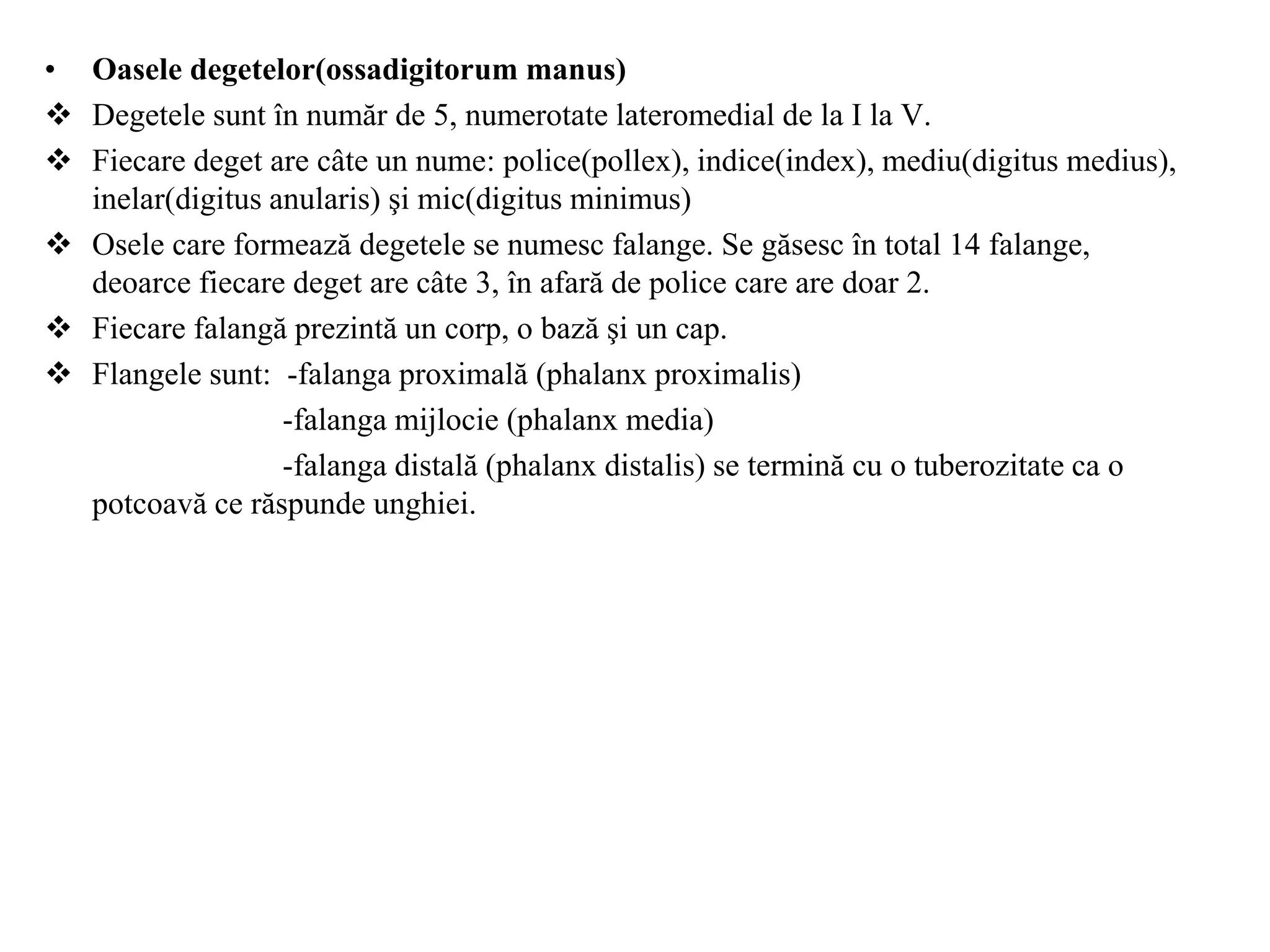 Scheletul osos | PDF