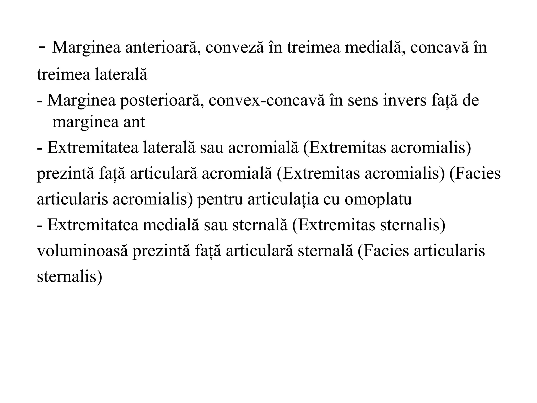 Scheletul osos | PDF