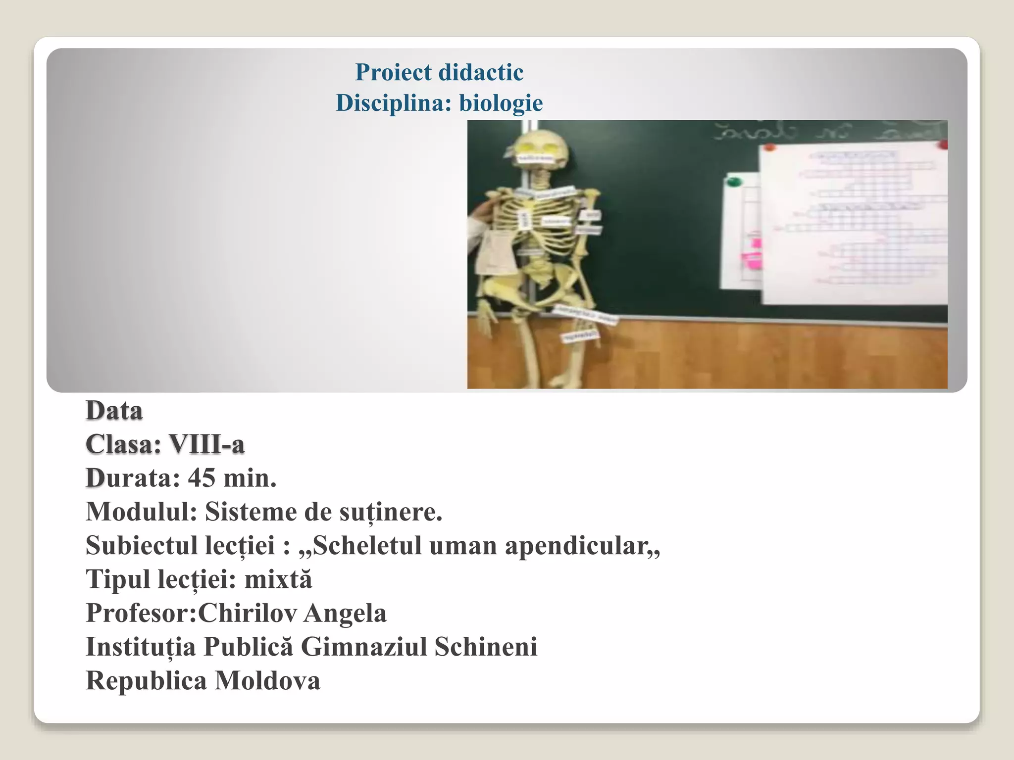 Scheletul Apendicular la om | PPTX
