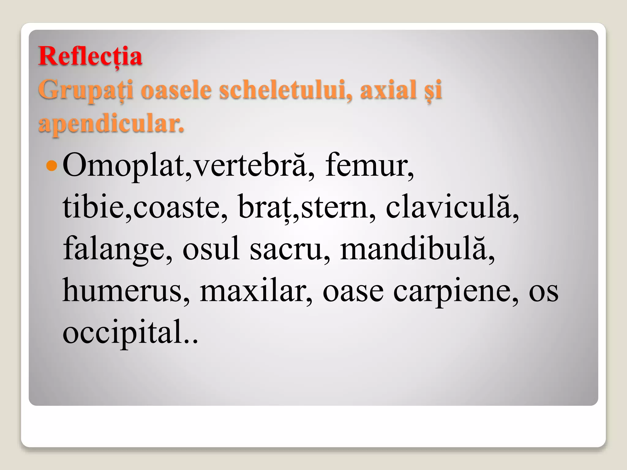 Scheletul Apendicular la om | PPTX