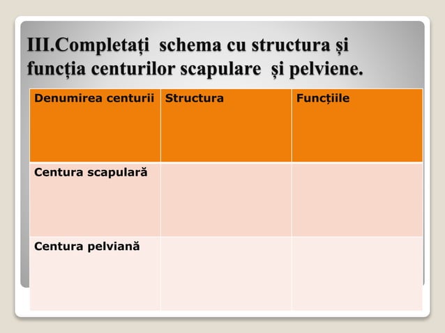 Scheletul Apendicular la om | PPT