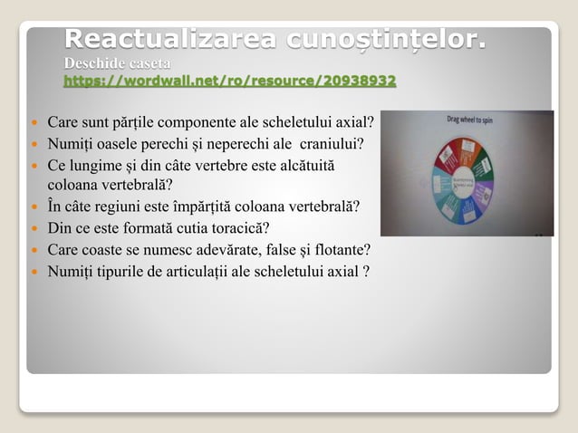 Scheletul Apendicular la om | PPT