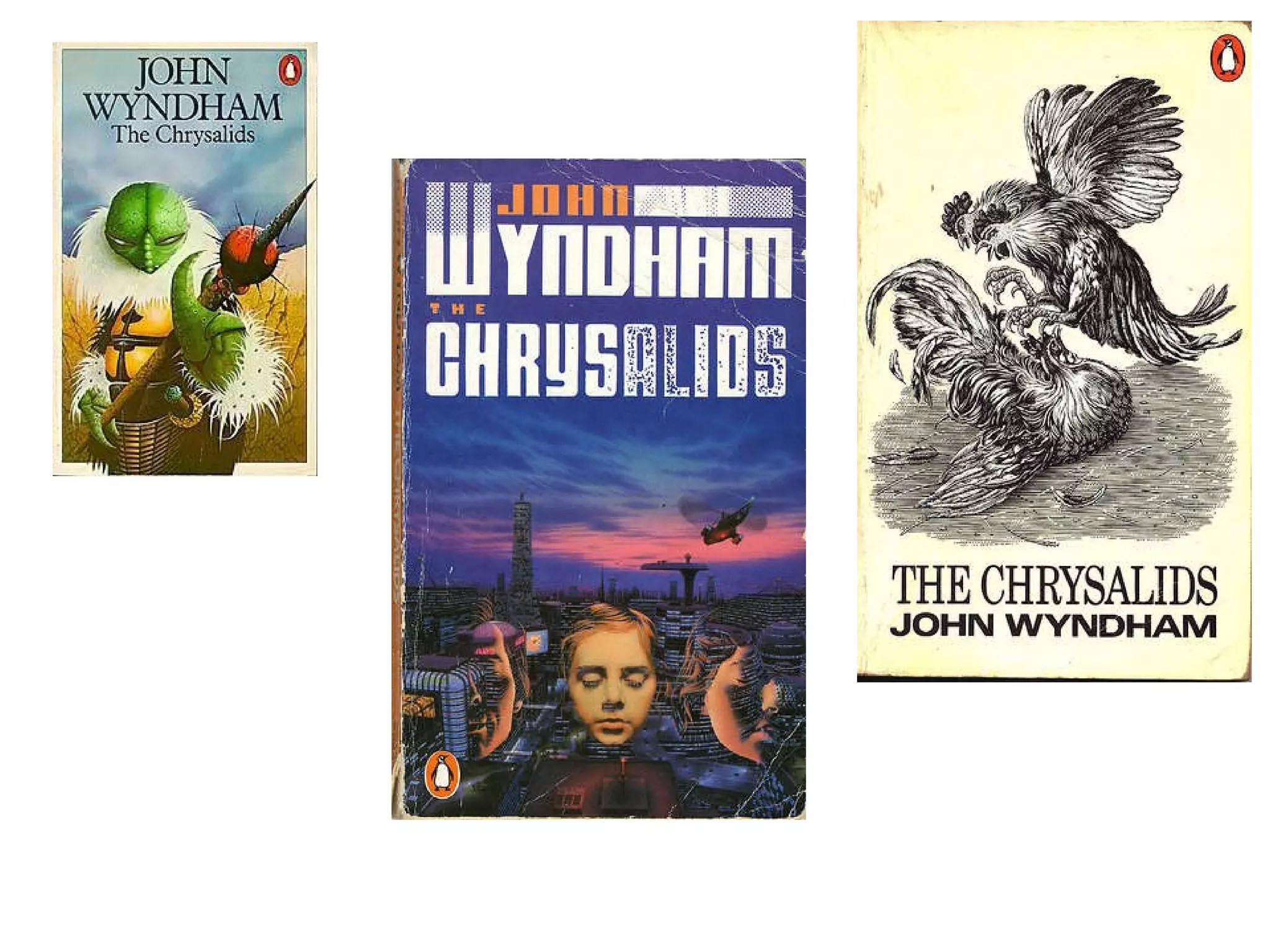 Emil Pulido on Schema for The Chrysalids | PPT