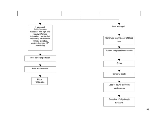 Schematic Pathophysiology Cva