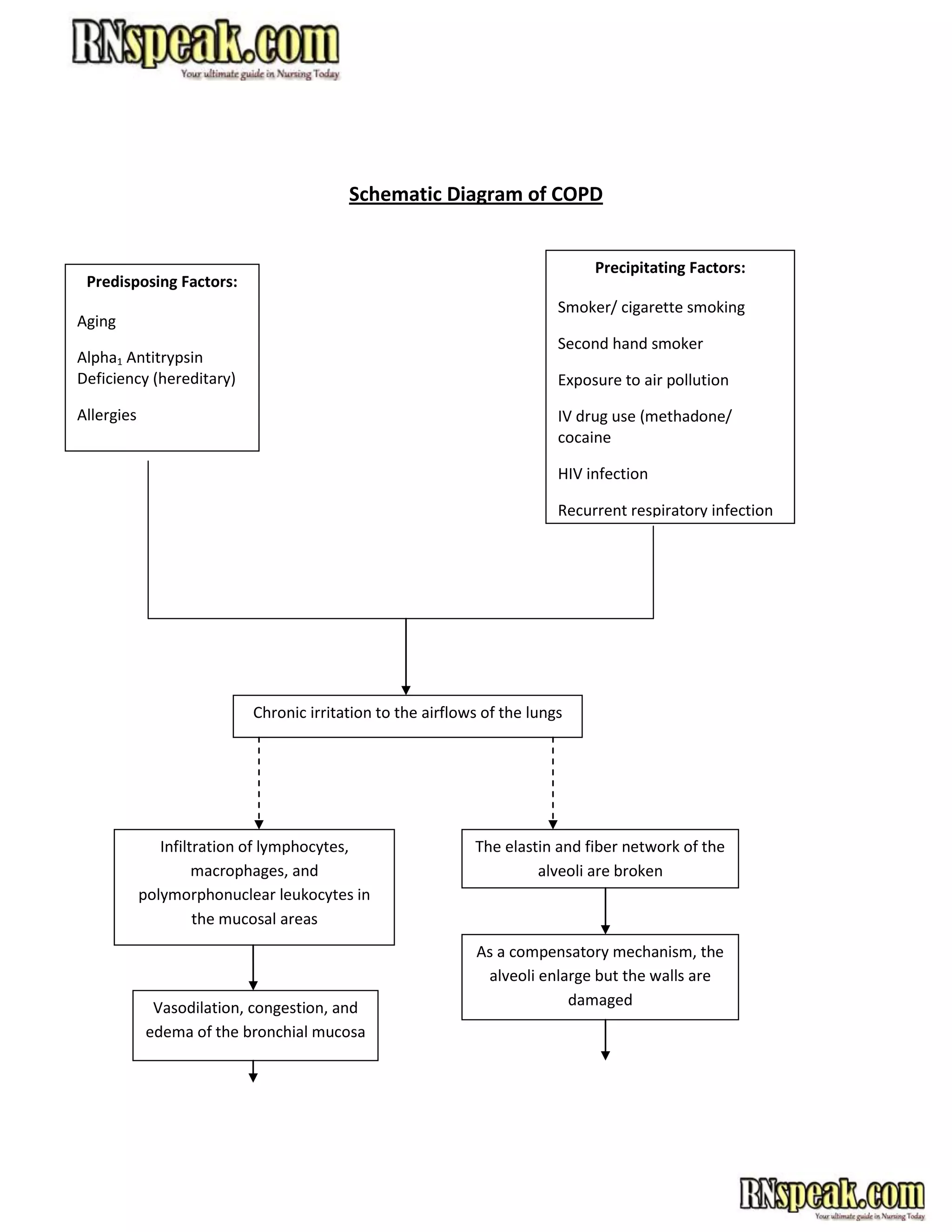 Schematic diagram of copd | DOCX