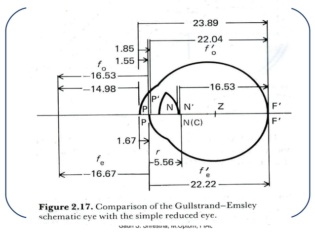 Schematic eye | PPT