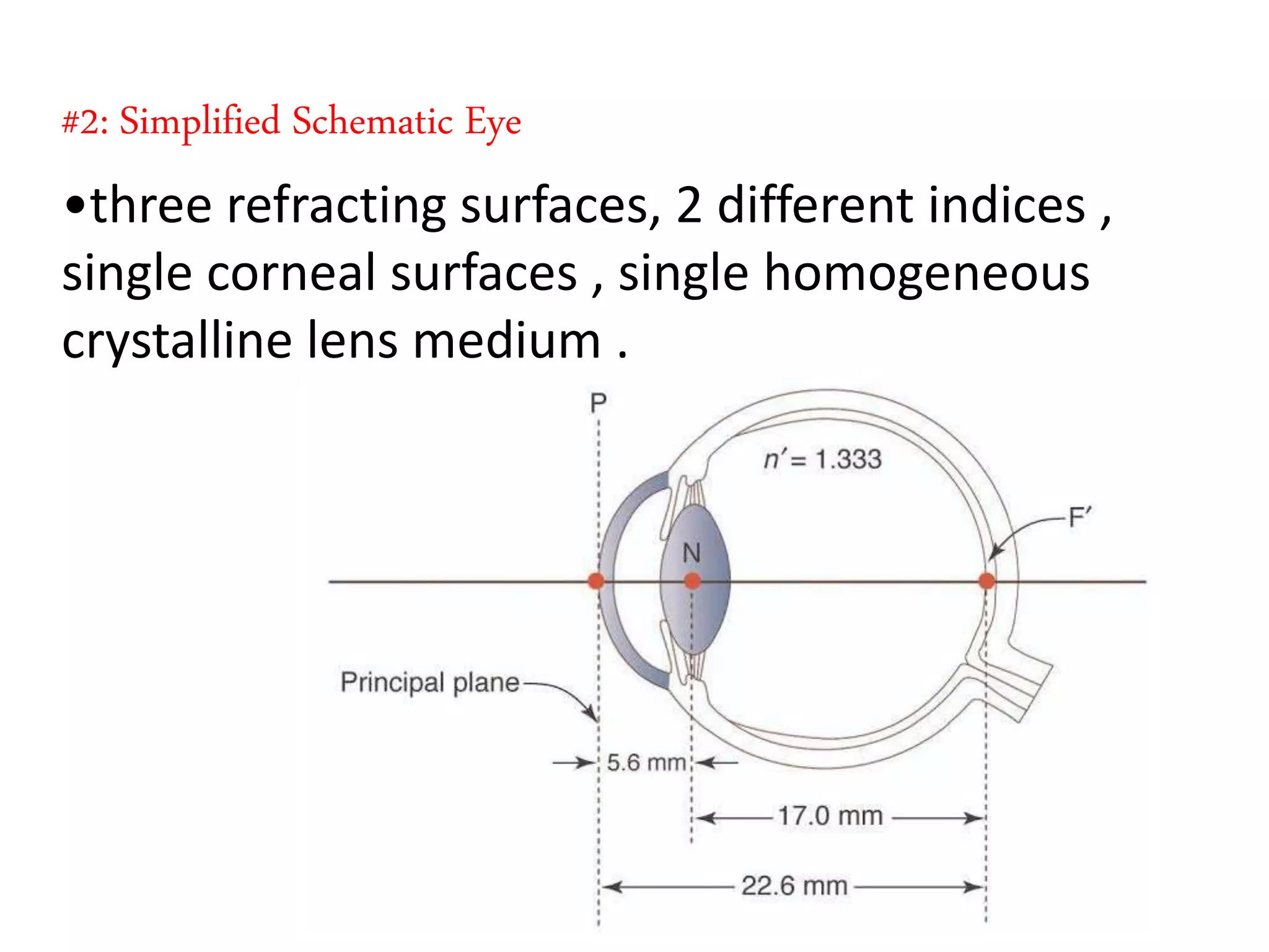 Schematic eye | PPTX