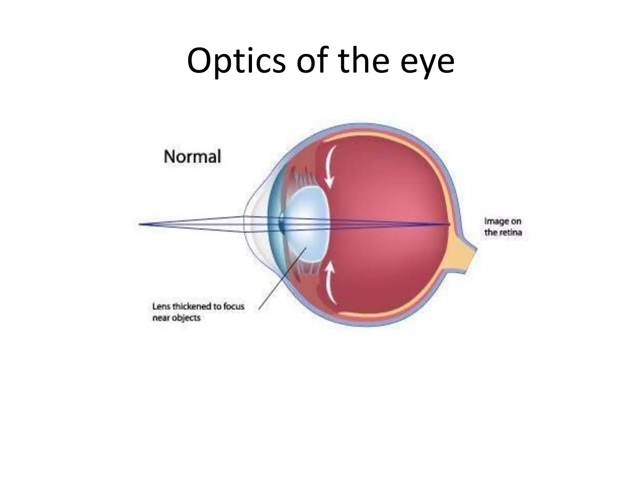 Schematic eye | PPTX