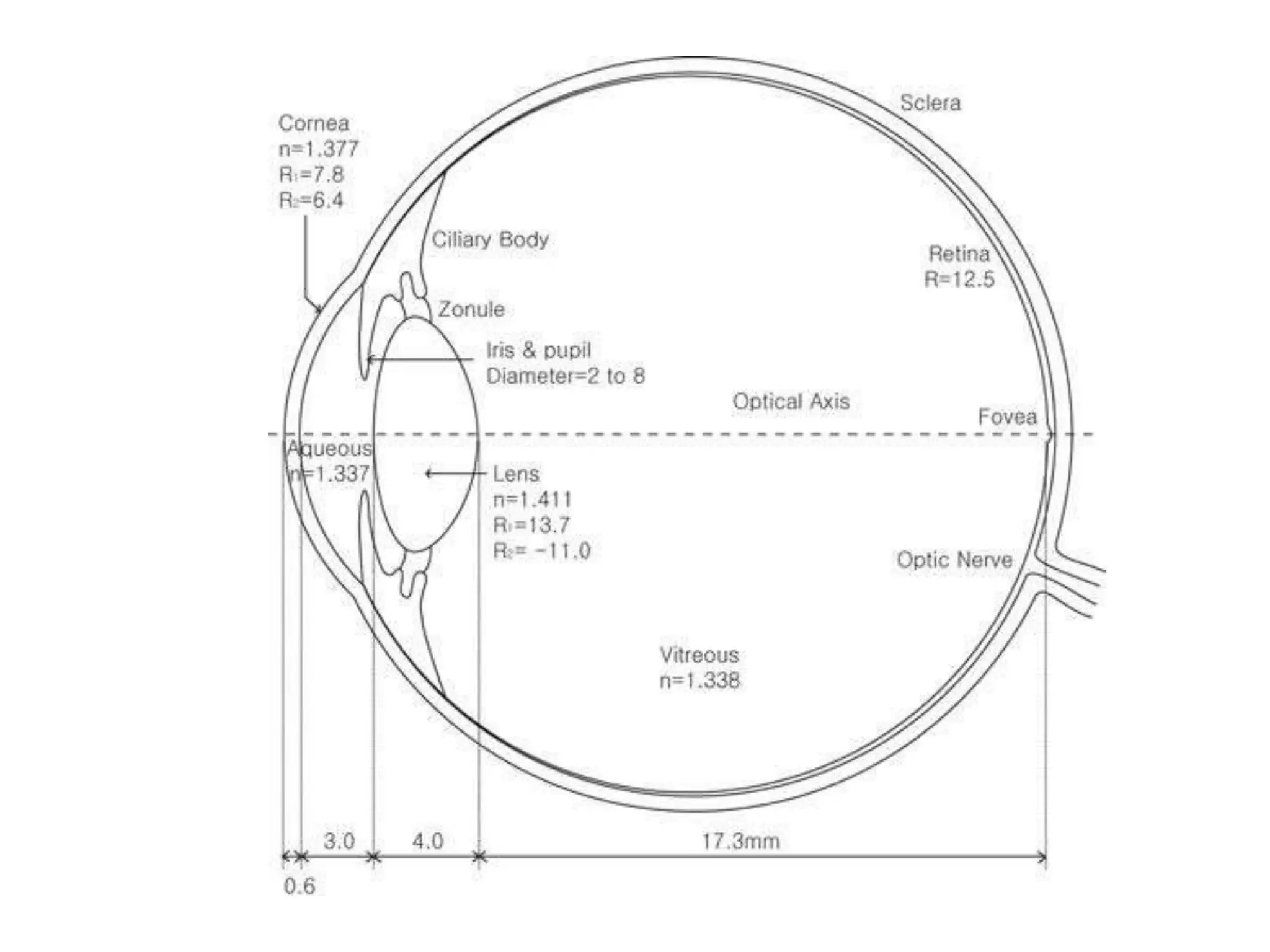 Schematic eye | PPTX
