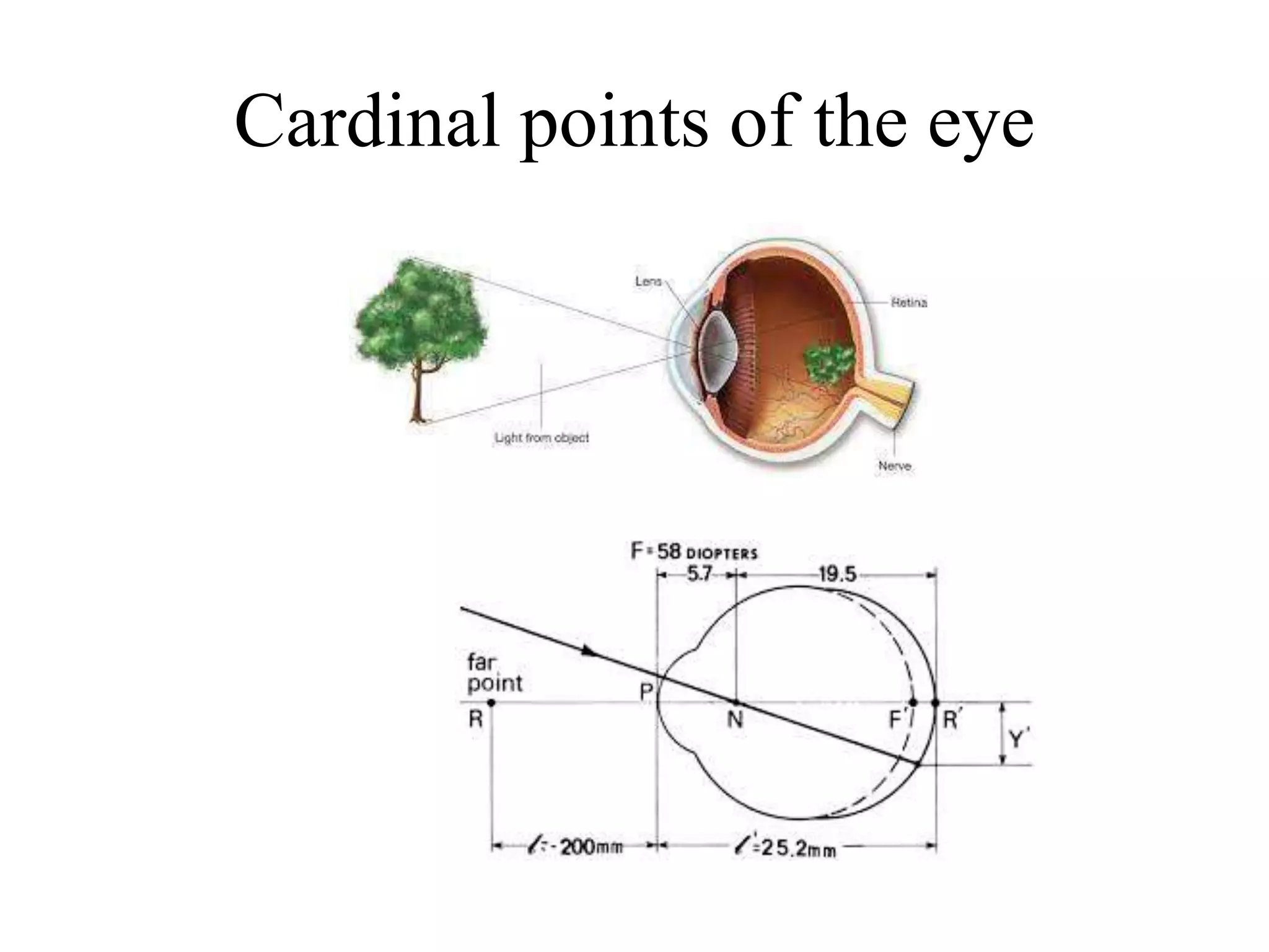 Schematic eye | PPTX